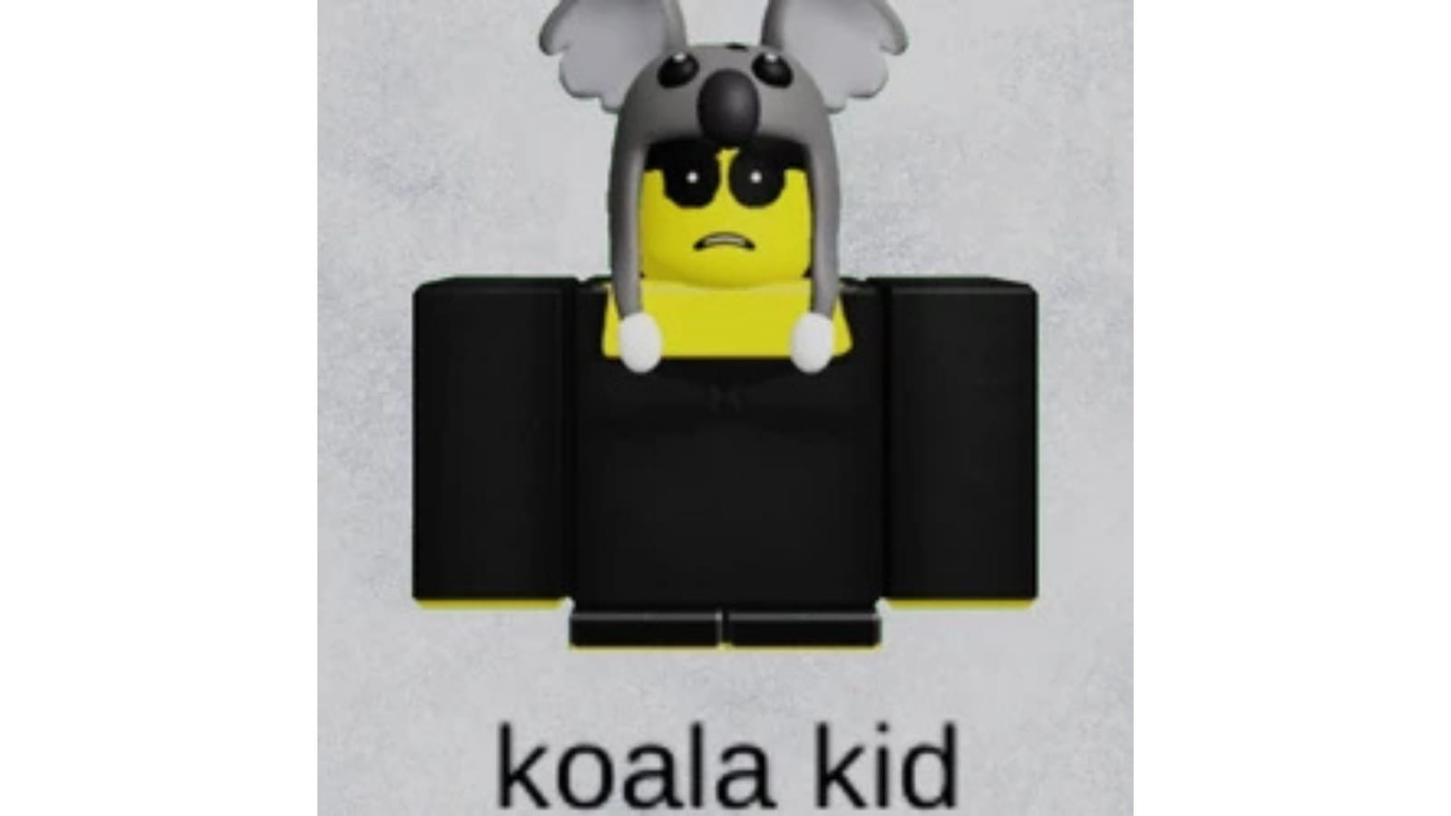 99 Nights in the Forest Koala Kid guide