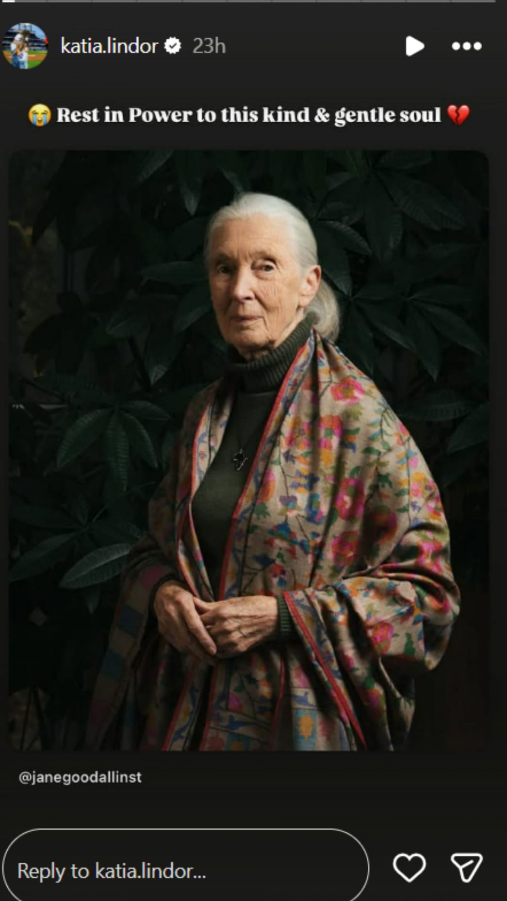 Francisco Lindor's wife Katia makes her stance clear as Donald Trump ...