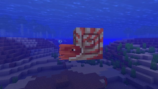 Minecraft nautilus guide: Spawning, taming, and uses