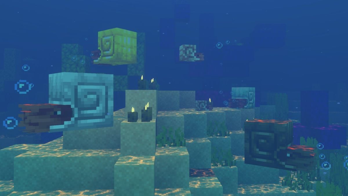 All types of nautilus in Minecraft