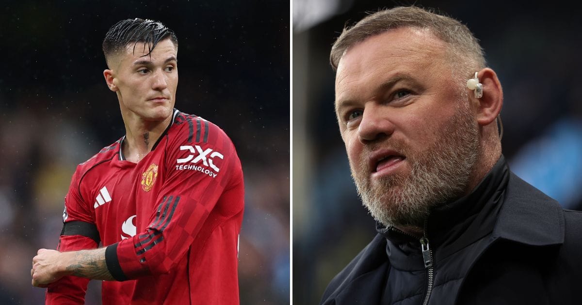 Wayne Rooney gives his take on Manchester United summer signing ...