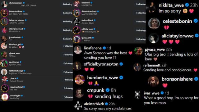 CM Punk, Nia Jax, Bronson Reed, and more WWE stars react to Tonga Loa's ...