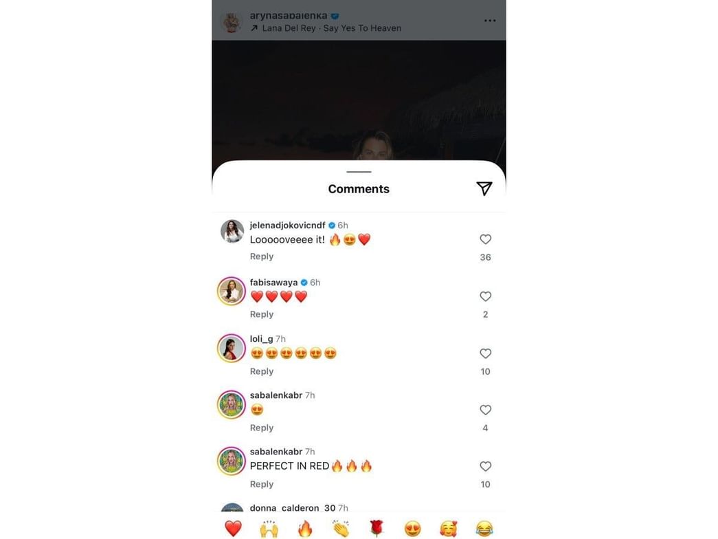 Novak Djokovic's wife Jelena gushes over Aryna Sabalenka as Belarusian ...