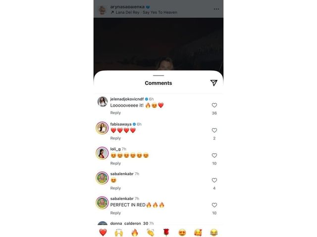 Novak Djokovic's wife Jelena gushes over Aryna Sabalenka as Belarusian ...