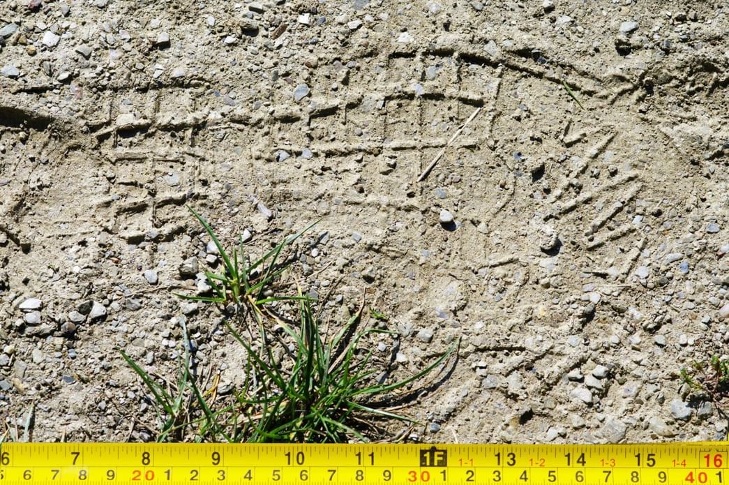 Ernest Luttrell murder case on Who Hired the Hitman- A detailed case ...