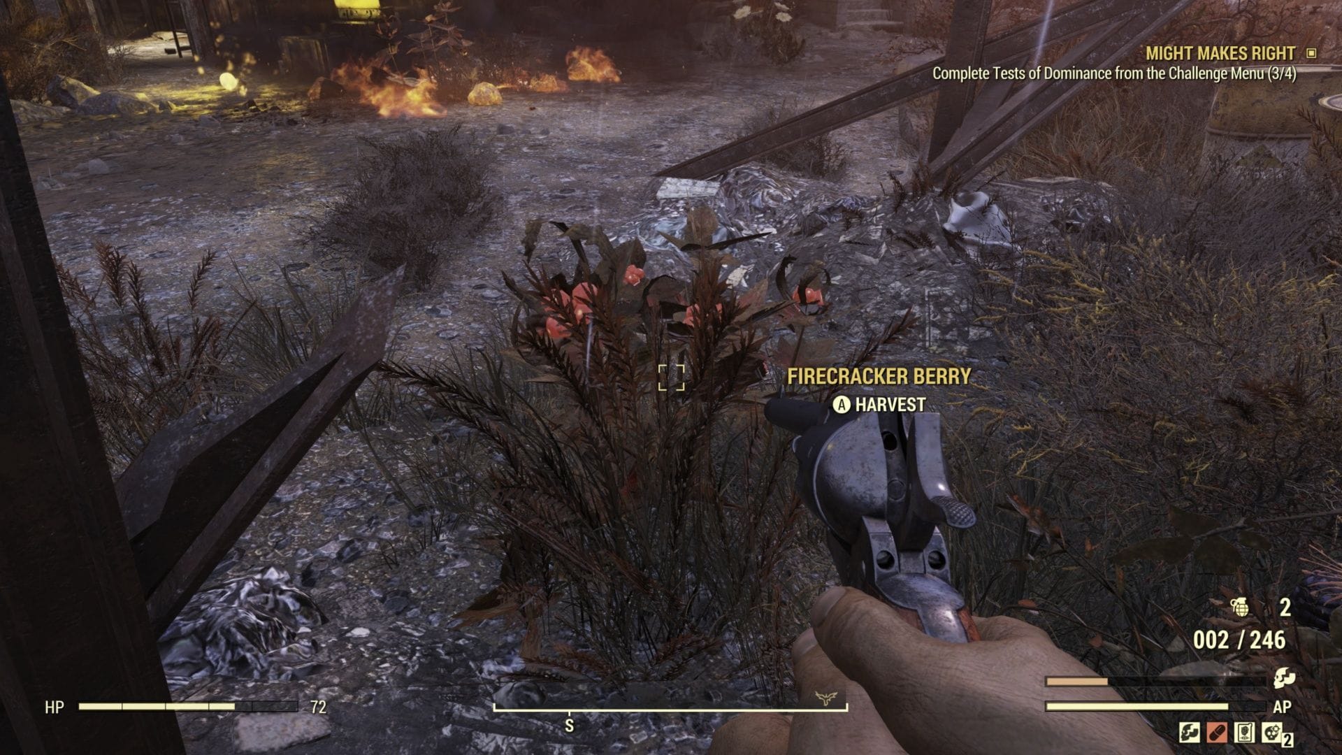 Fallout 76: Firecracker berry locations in The Forest and Savage Divide ...