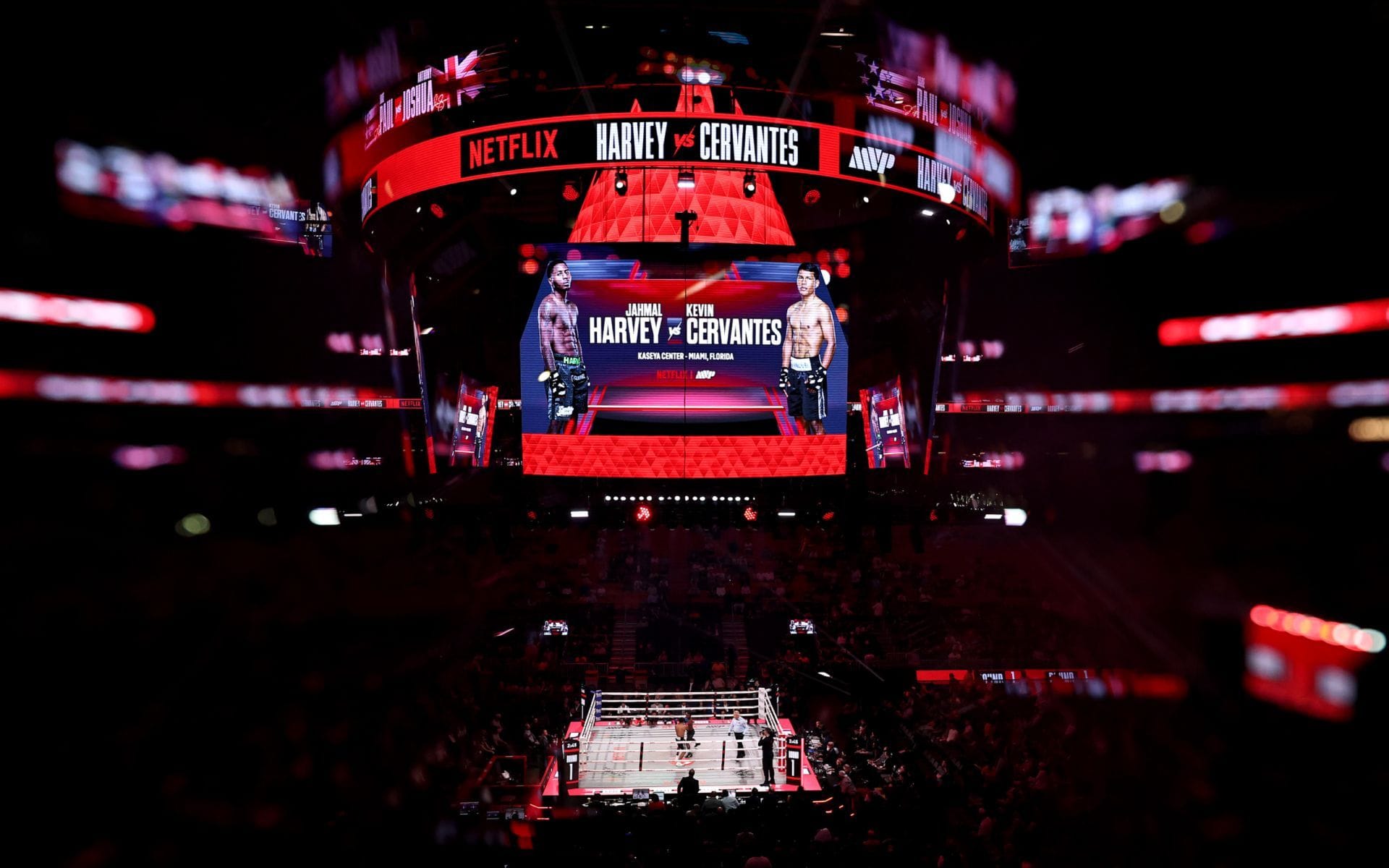 Jake Paul vs. Anthony Joshua ring girls: Who are the women starring at ...