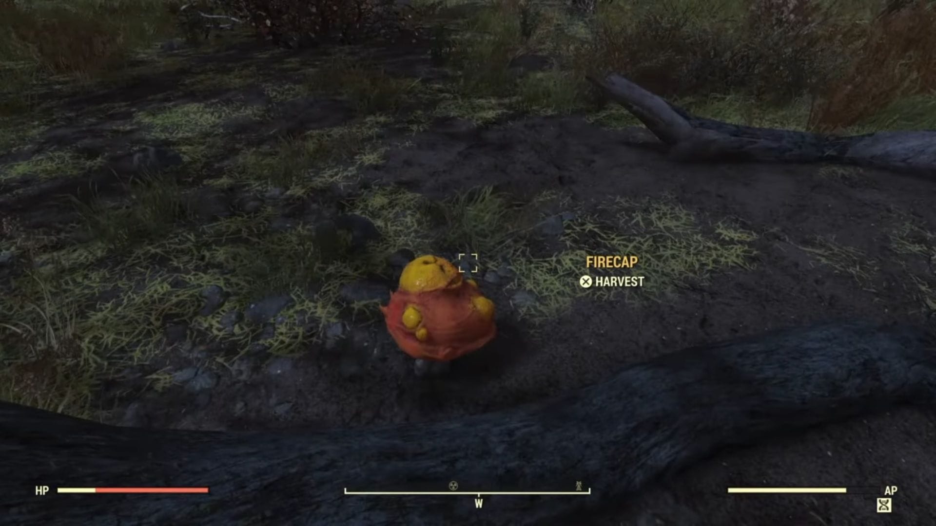 Fallout 76: Best Firecap Mushroom locations