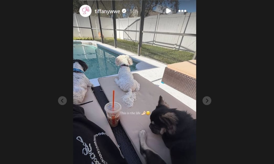 Tiffany Stratton shares personal update amid WWE hiatus