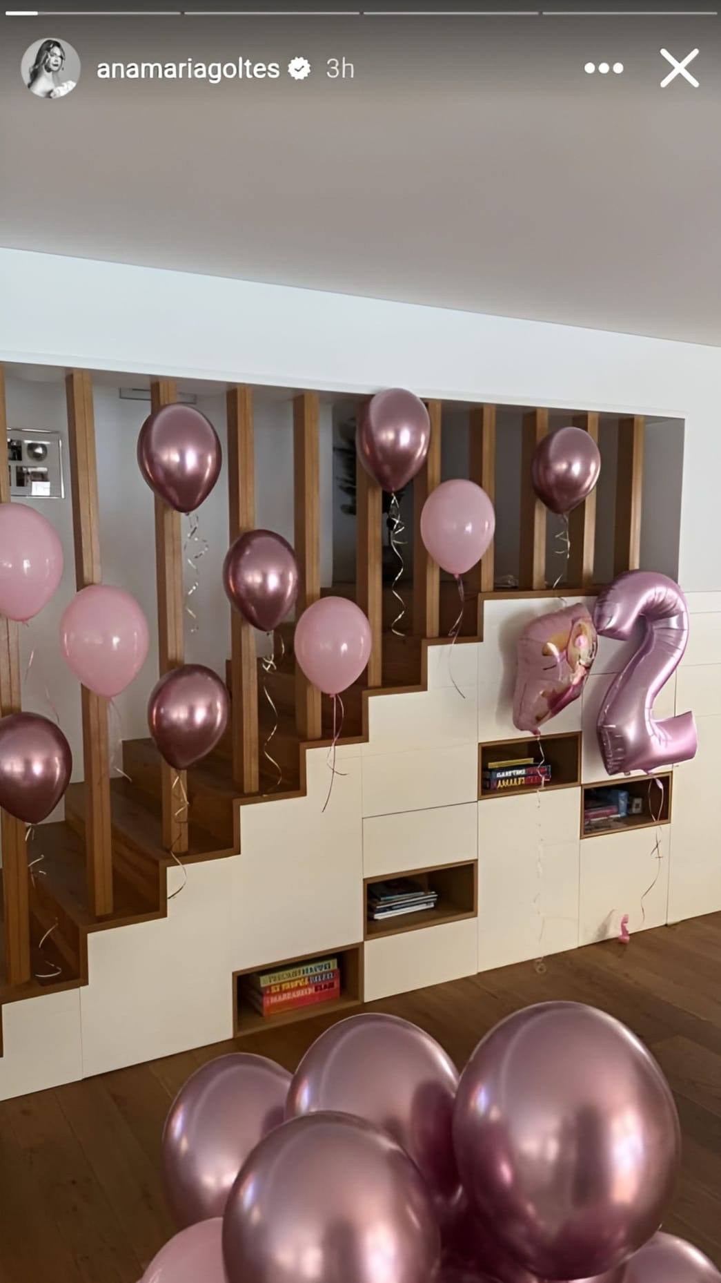 Luka Doncic & Fiancée Anmaria Goltes Show Ultimate Parenting Goals as ...