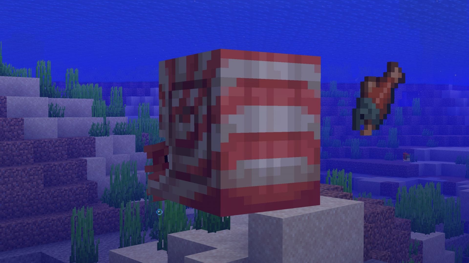 5 interesting facts about nautilus in Minecraft