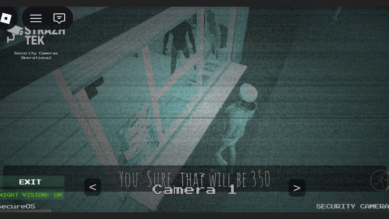 All Scary Shawarma Kiosk: The Anomaly Anomalies