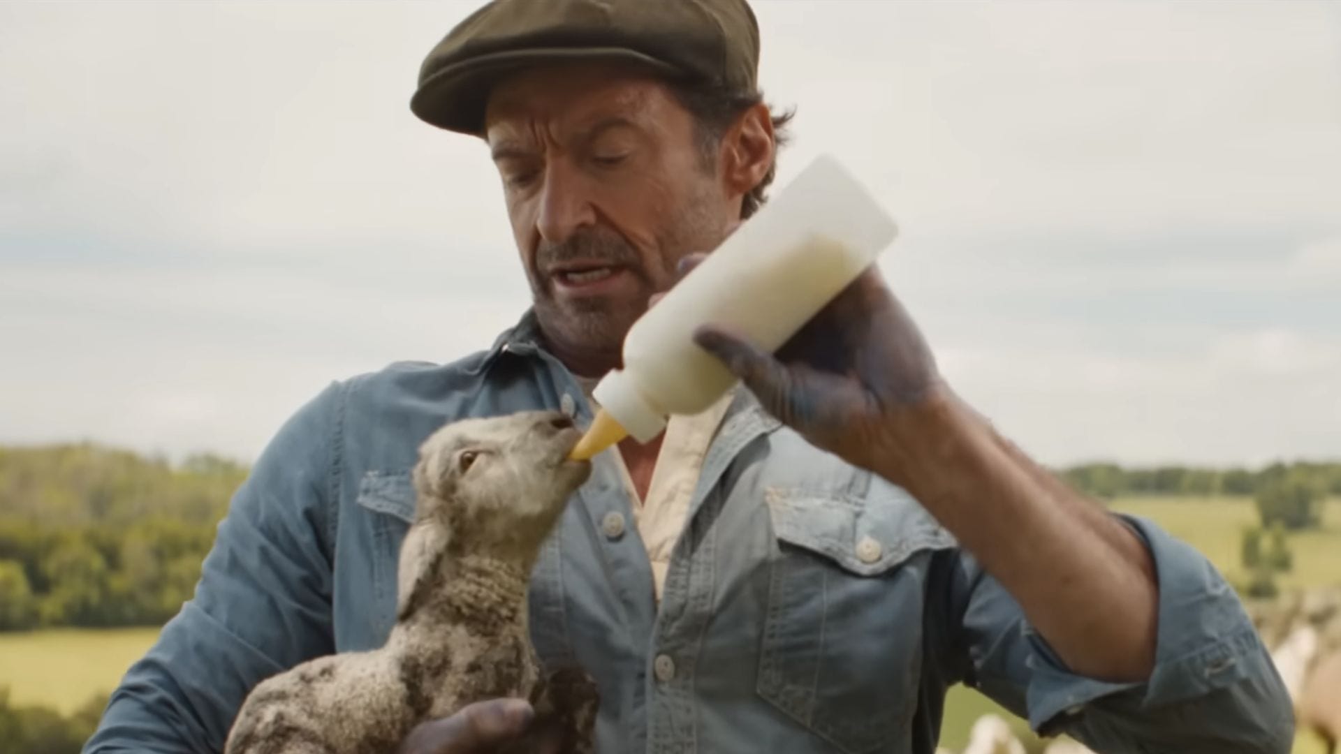 The Sheep Detectives cast & characters: Meet the stars behind the film ...