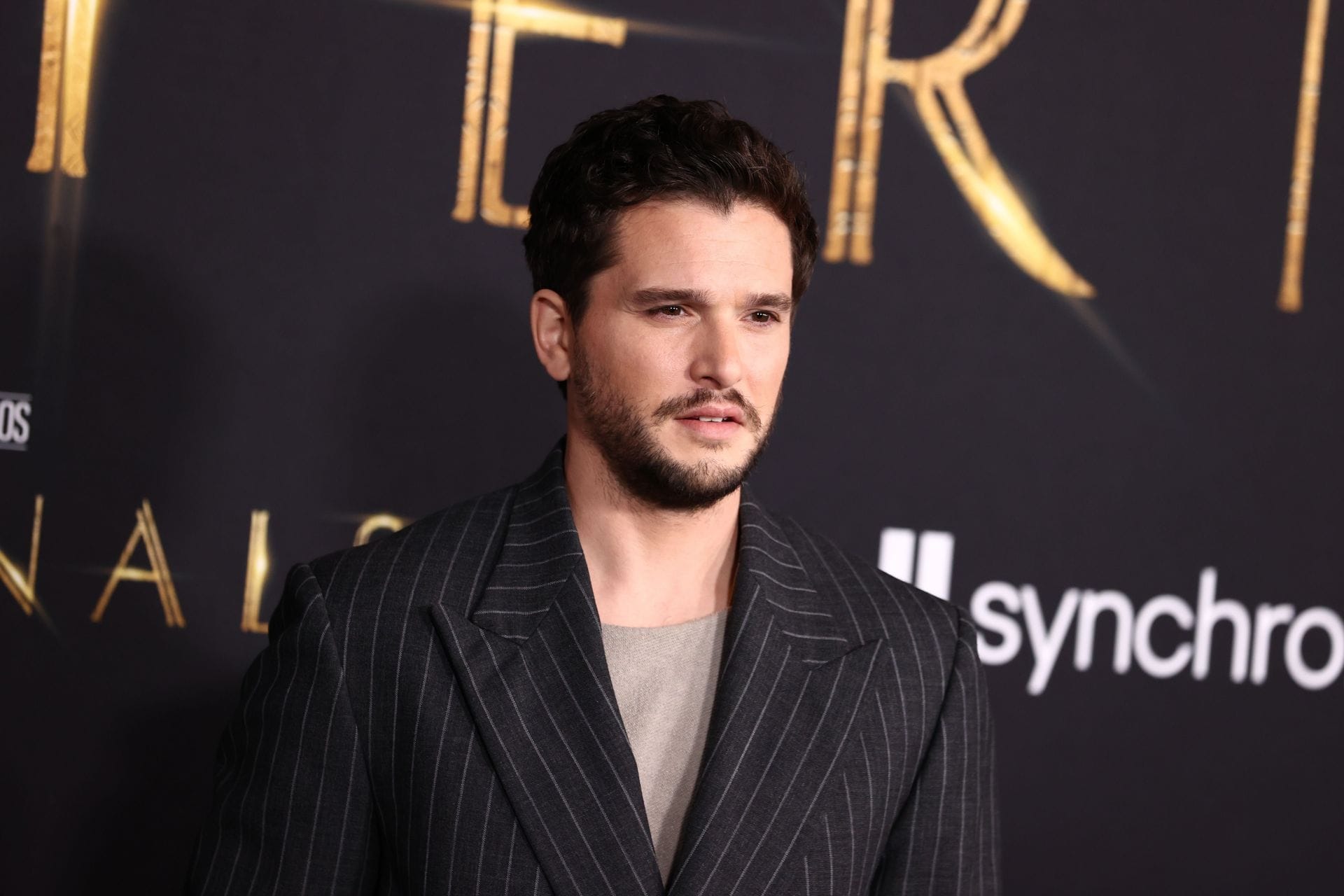 What role does Kit Harington play in Audible's Harry Potter audiobook ...