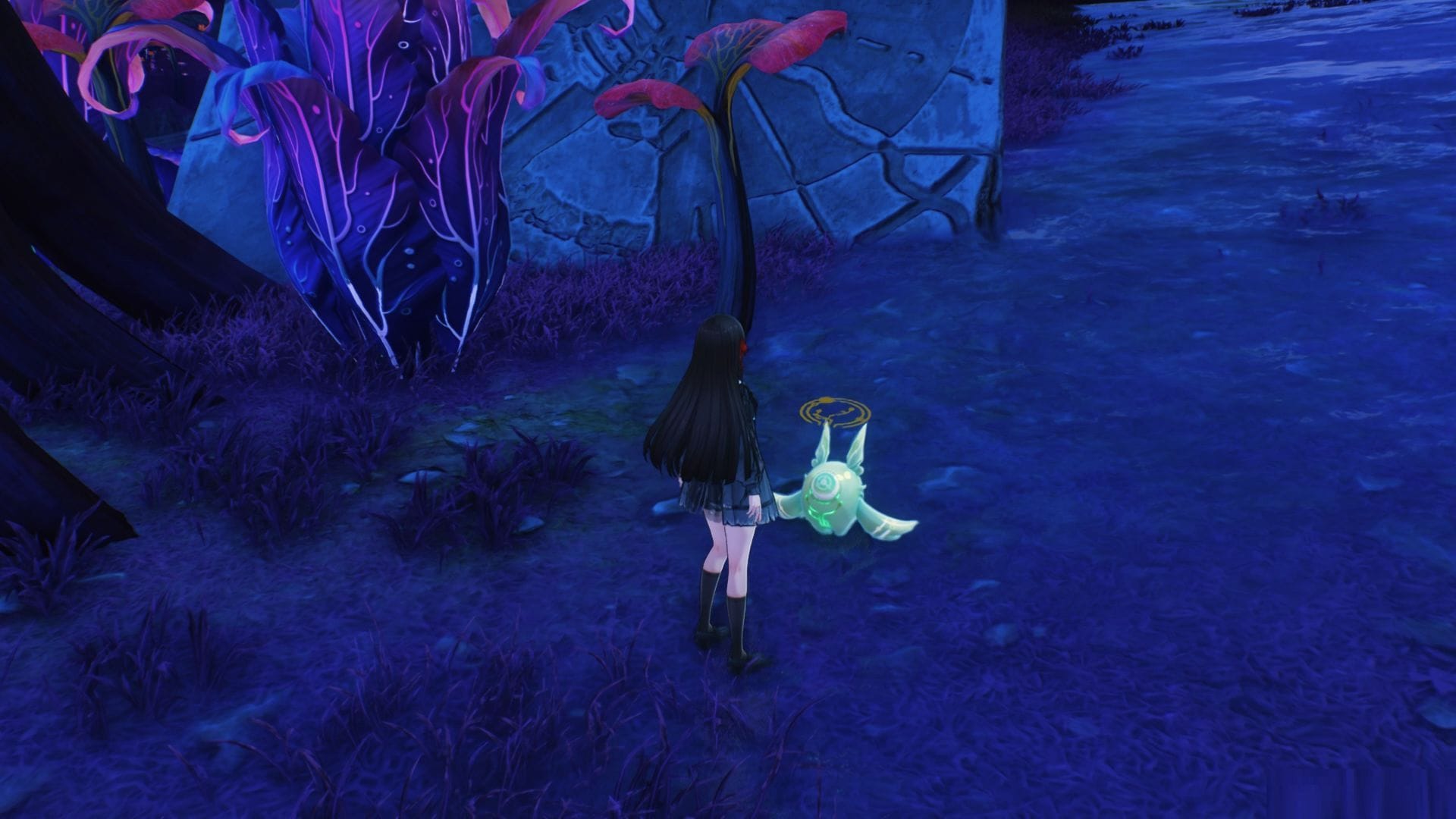 All Giant's Gaze Soliskin locations in Wuthering Waves