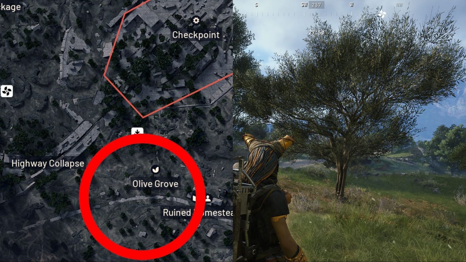 Where to find Olives in ARC Raiders