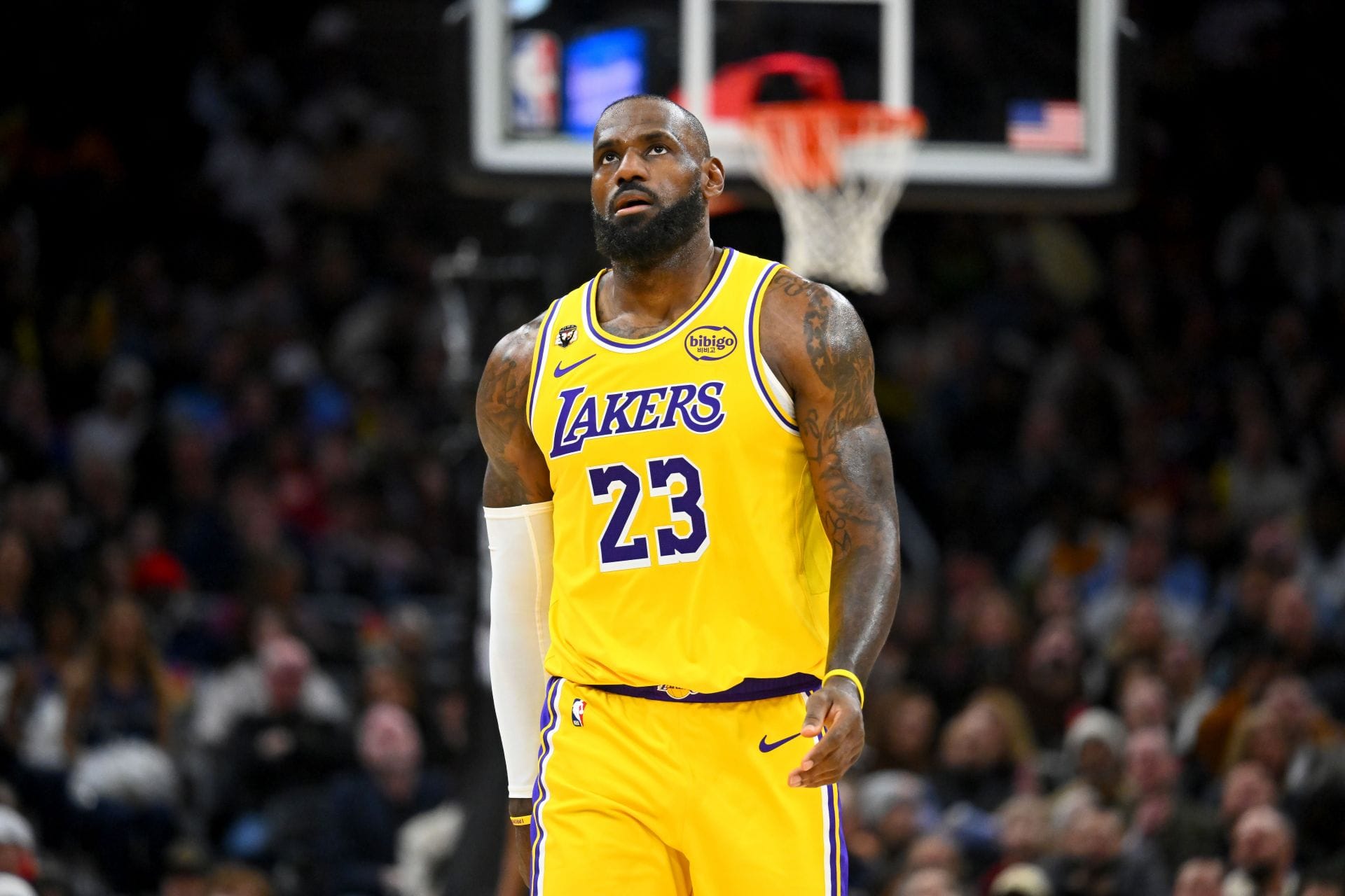LeBron James Publicly Endorses Anti-ICE Song by Grammy Award Winner ...