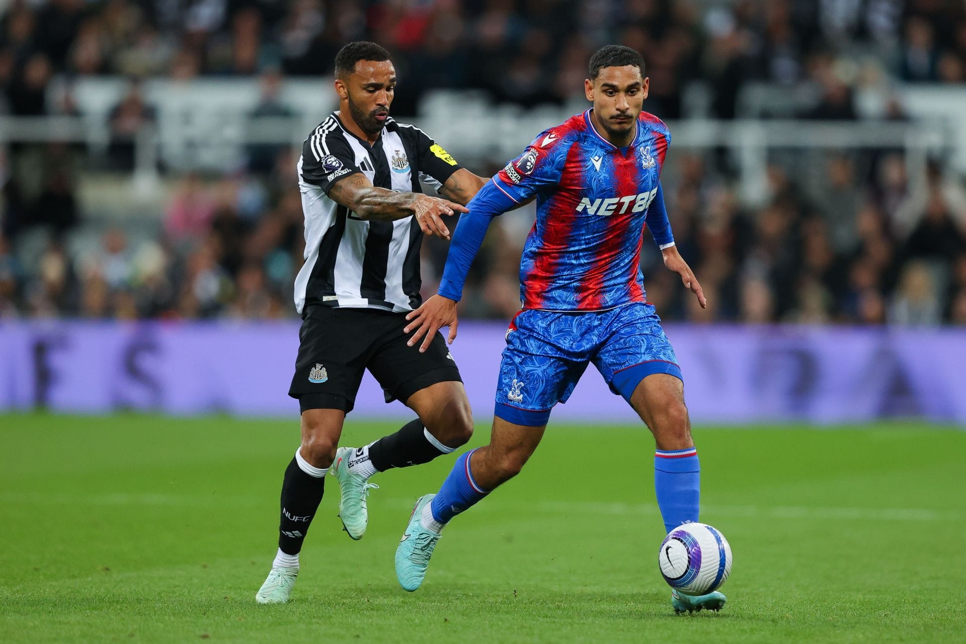 Newcastle United vs Crystal Palace Prediction and Betting Tips ...