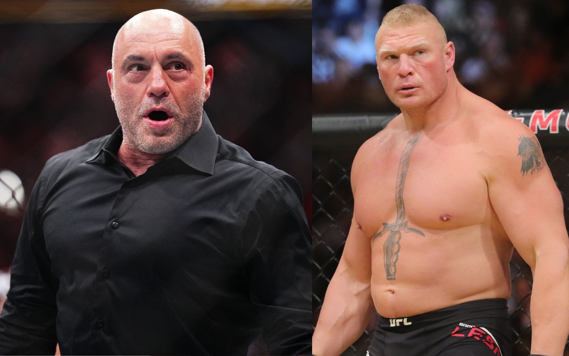 "Didn't need to do it" - Joe Rogan says Brock Lesnar could have been an ...