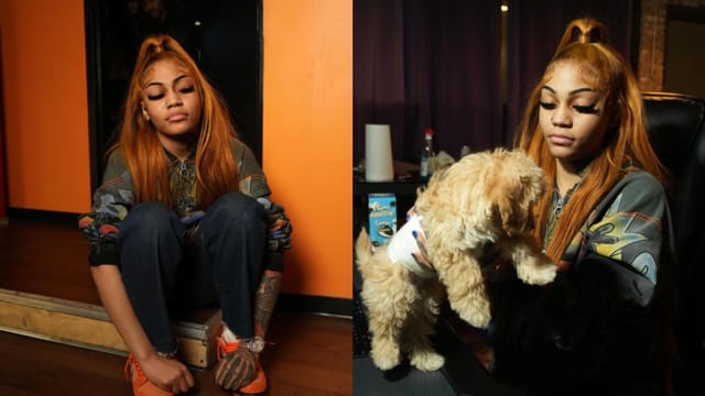 Who is Aspen Kartier? Streamer faces allegations of dog abuse as video ...