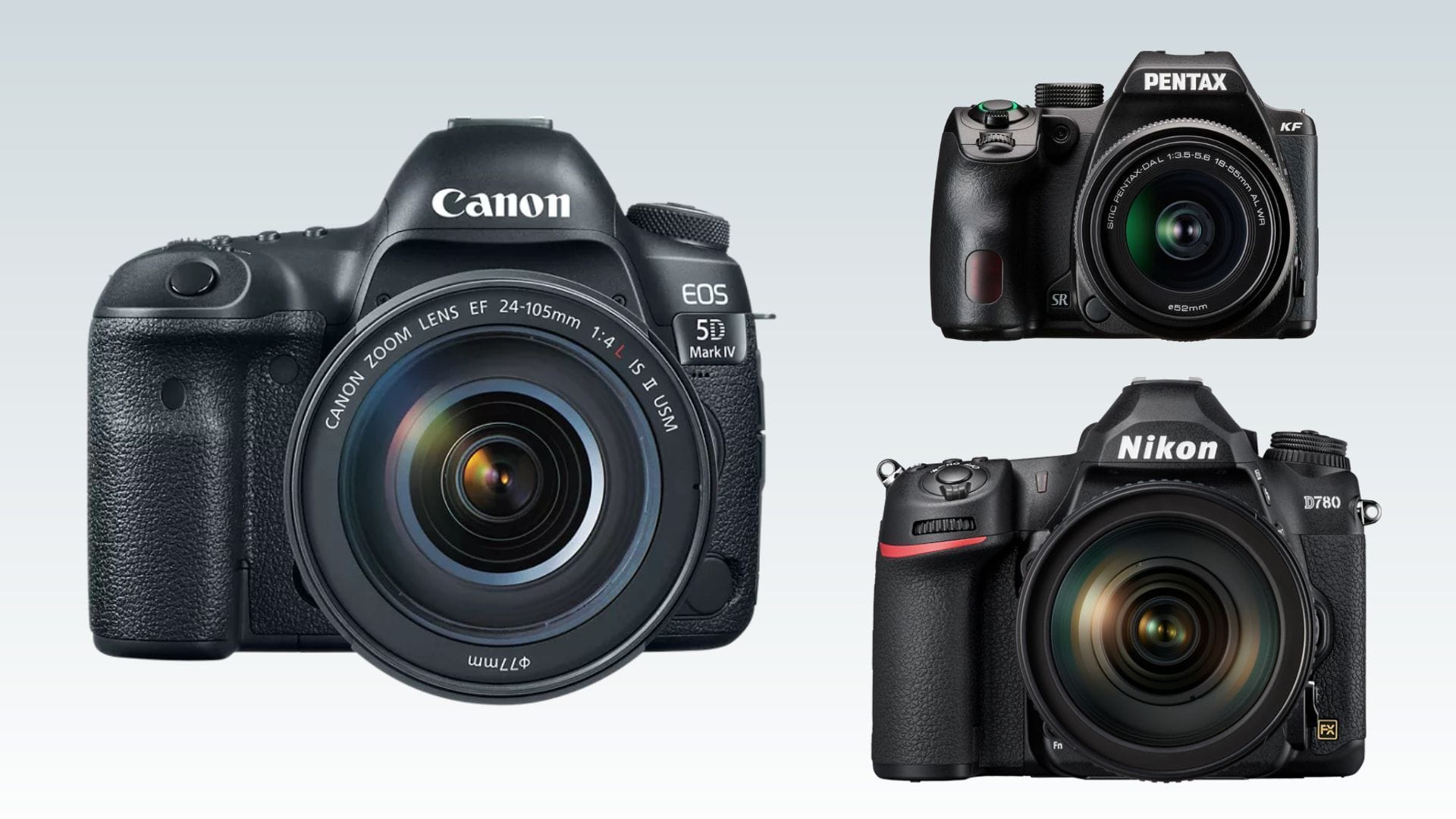 5 best DSLR cameras for beginner photography in 2026
