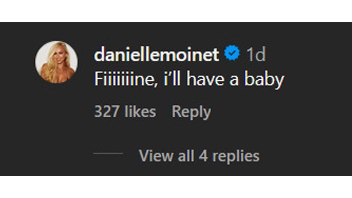 “Fiiiiiiine, i’ll have a baby” - Female ex-WWE star responds to Renee ...