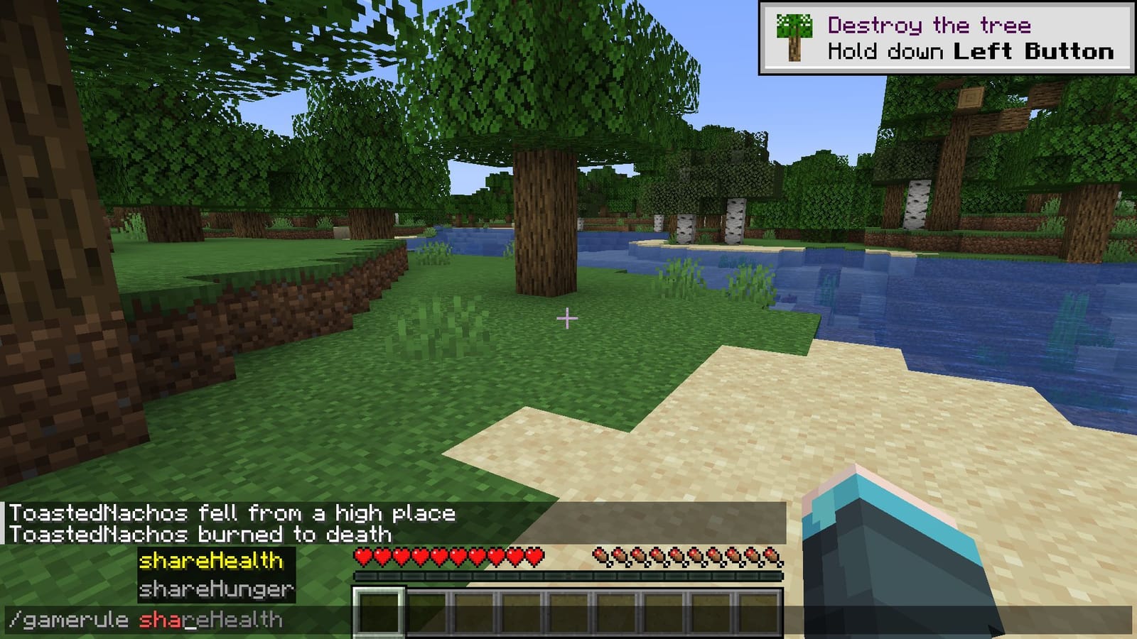 Minecraft Shared Health mod guide
