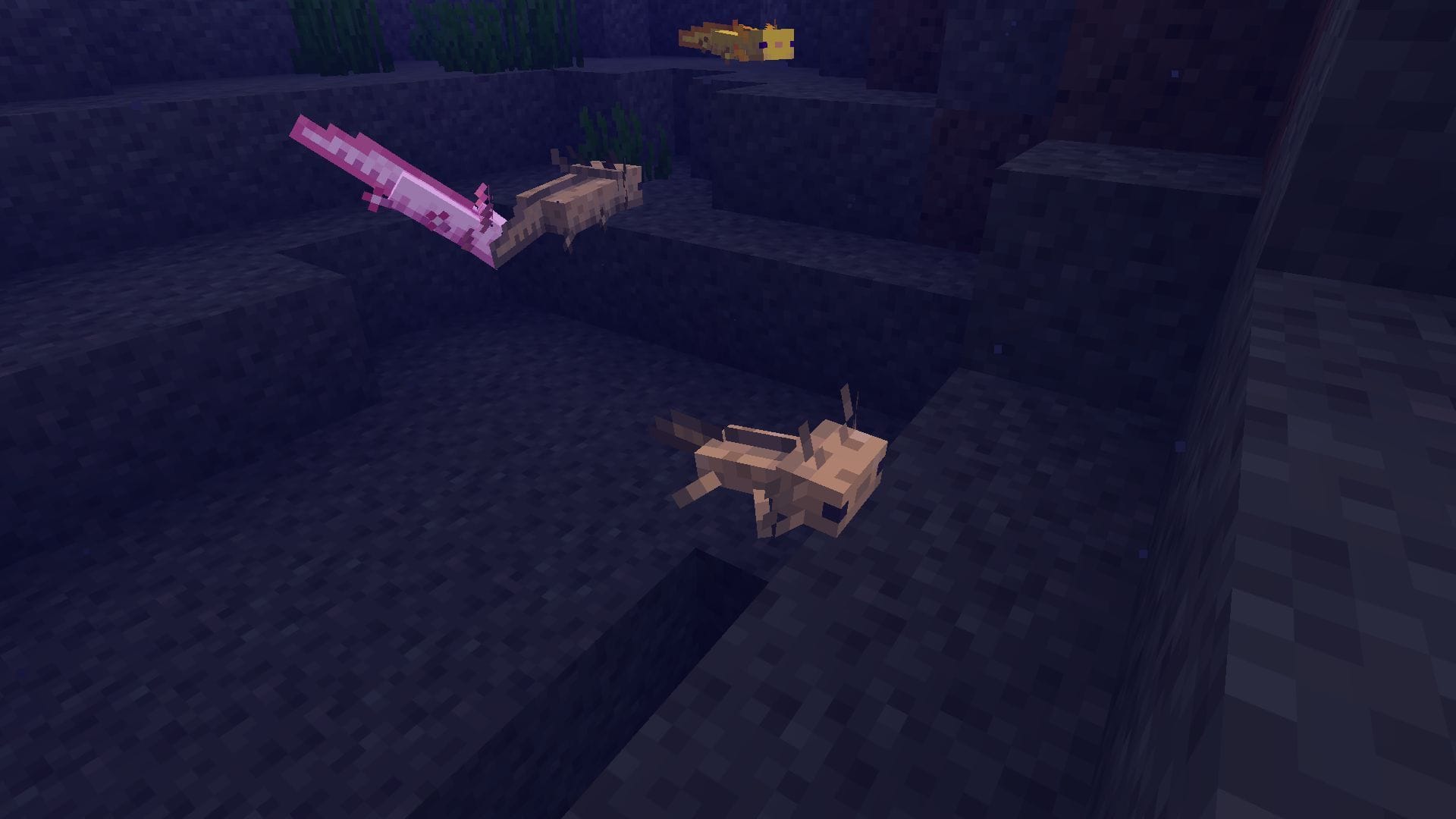 Latest Minecraft snapshot introduces new aquatic baby mobs