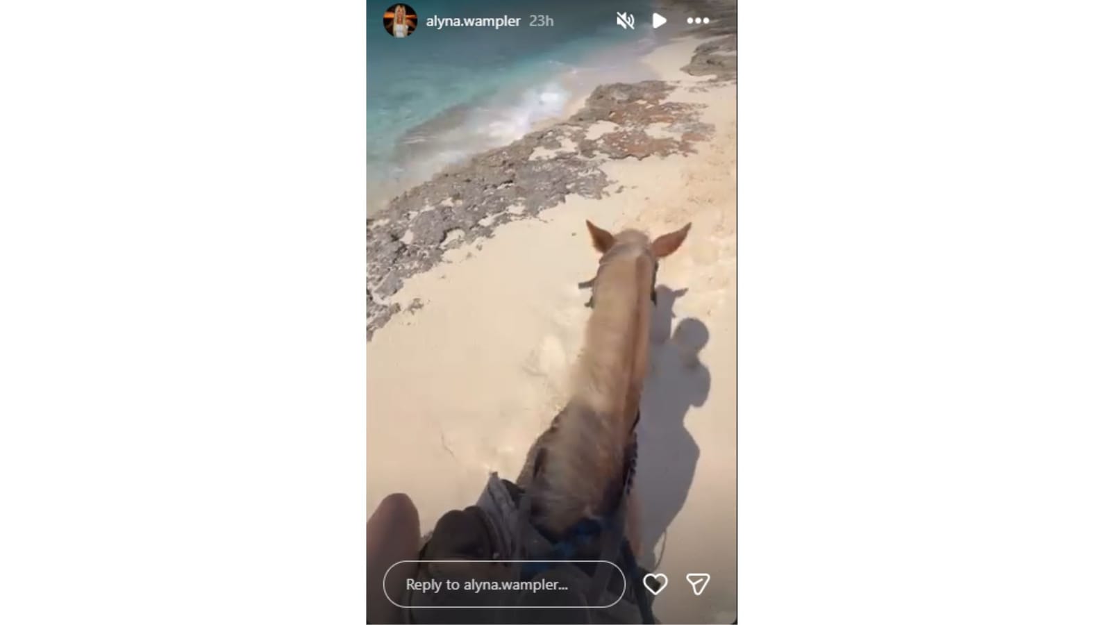In Pics: Wan'Dale Robinson and gf Alyna Wampler ride camels and Jet ...