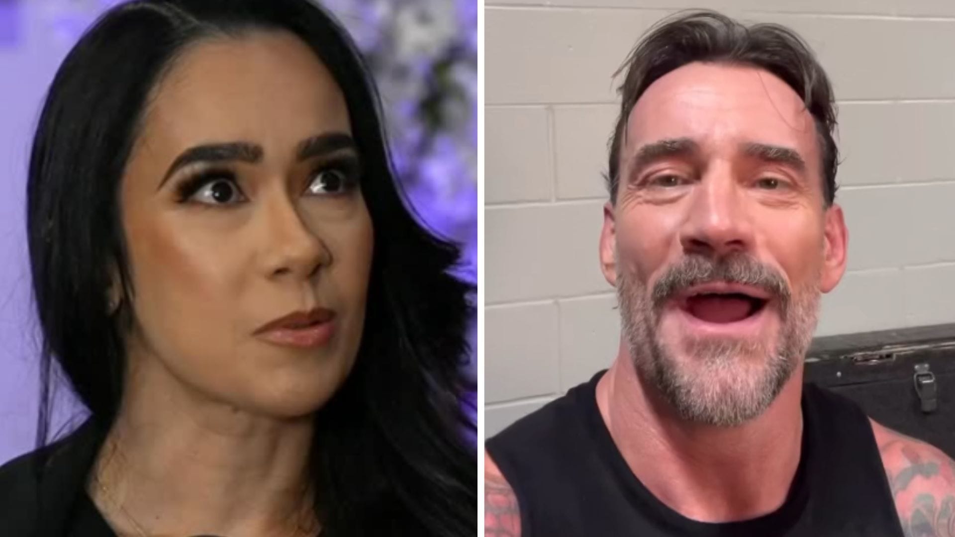 CM Punk calls 24-time WWE champion his 'road wife' in front of AJ Lee