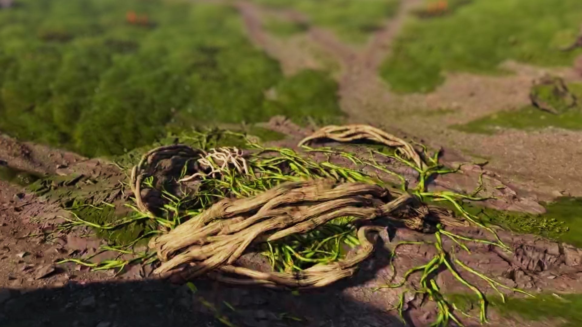 How to explore the Underground Caves in StarRupture