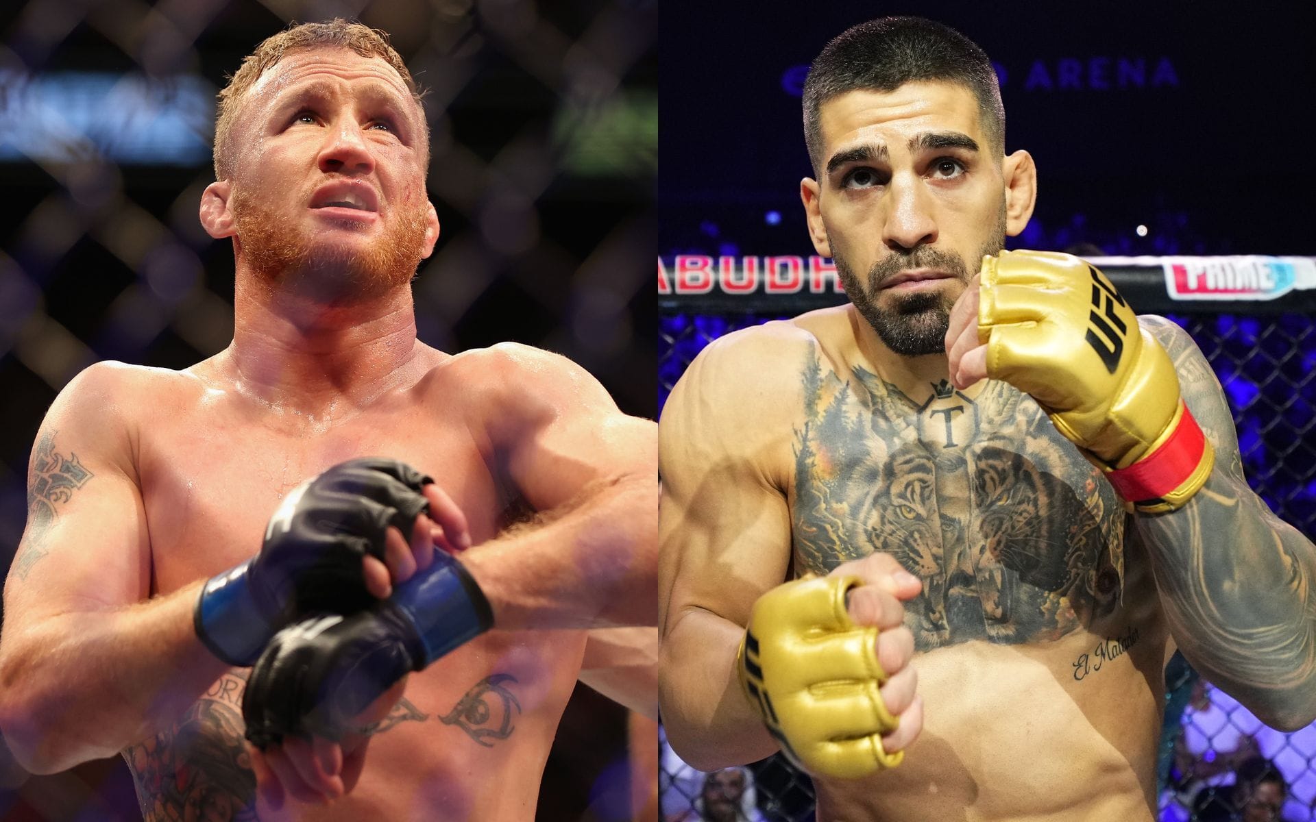 Ilia Topuria: "He’ll make you pay" - Robert Whittaker explains why ...