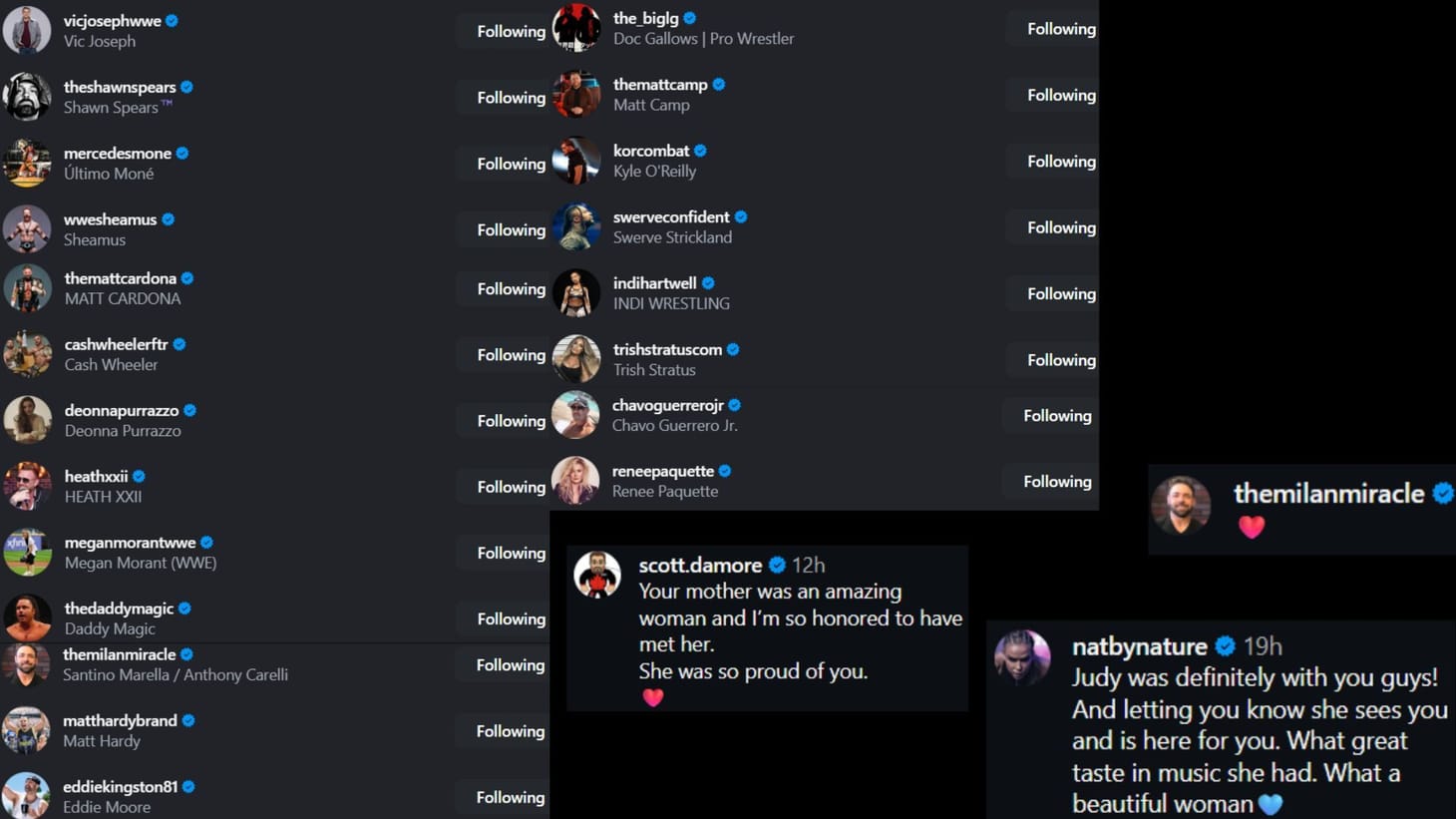 Trish Stratus, Sheamus, Mercedes Mone, and other current/former WWE ...