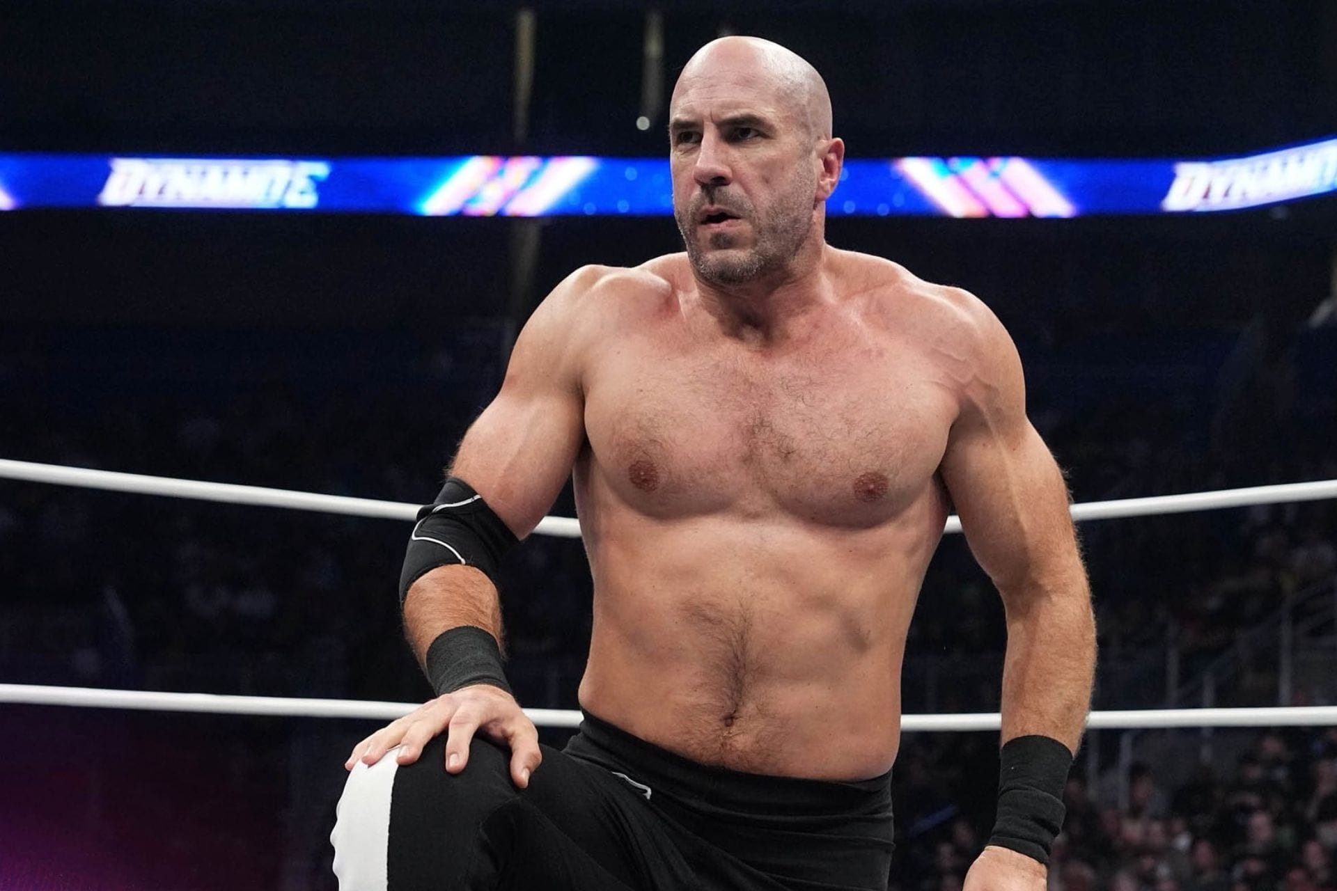 Claudio Castagnoli makes a huge announcement on his immediate future ...