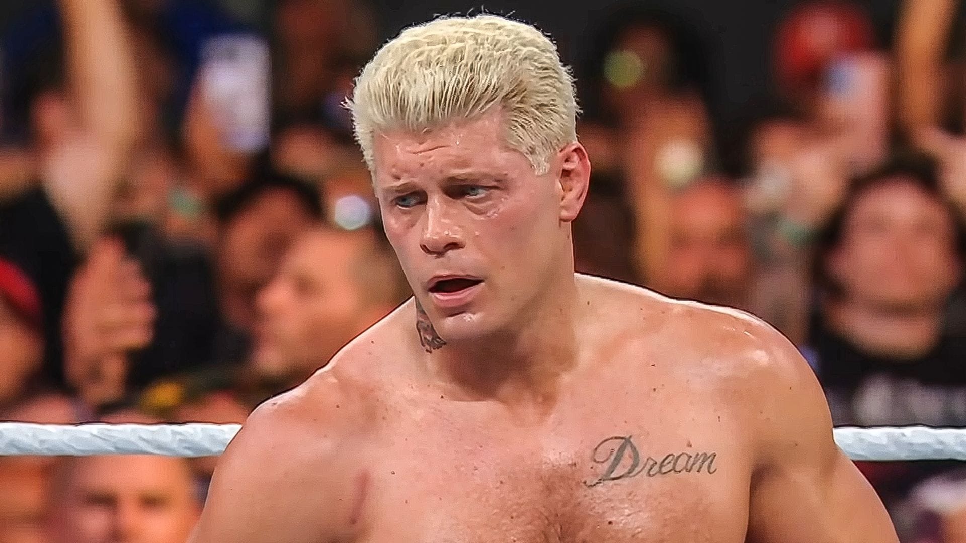 New champion crowned, Nick Aldis’s newest acquisition, Cody Rhodes ...