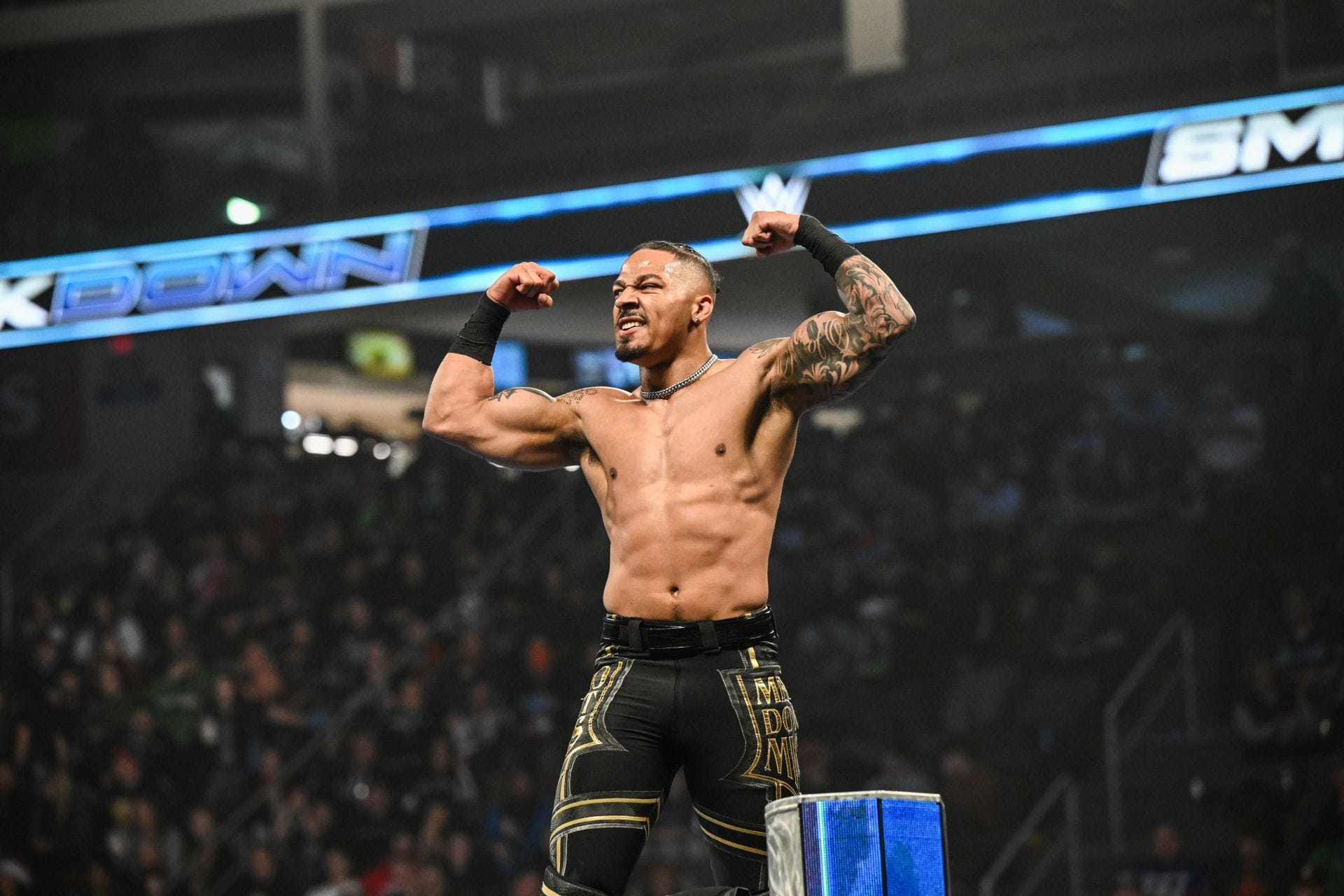 Carmelo Hayes’ WWE Superstar fiancée teases helping him on the main roster