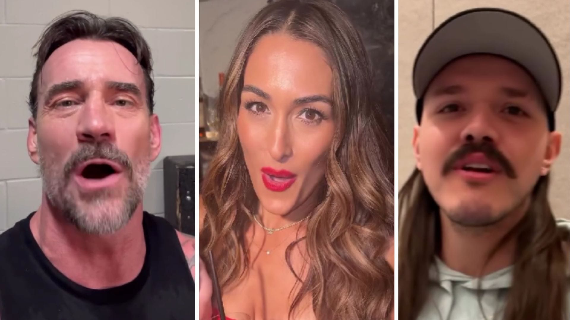 CM Punk, Nikki Bella, Dominik Mysterio, and more WWE stars react to ...