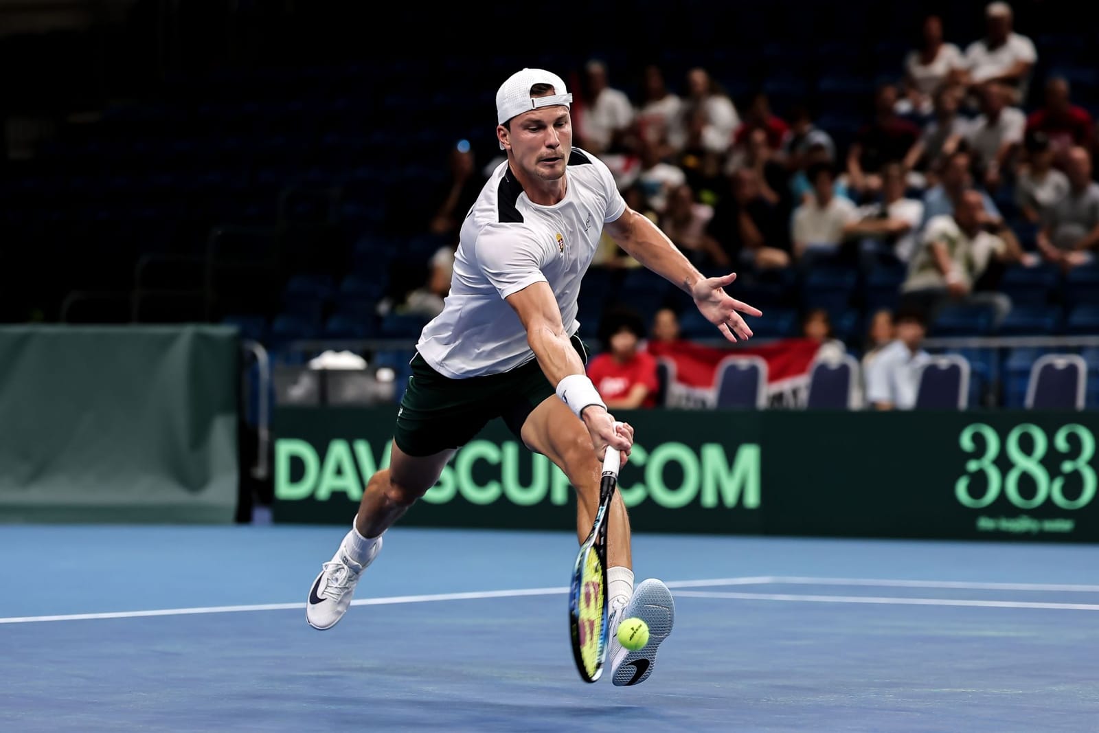 Daniil Medvedev vs Marton Fucsovics preview, head-to-head, prediction ...