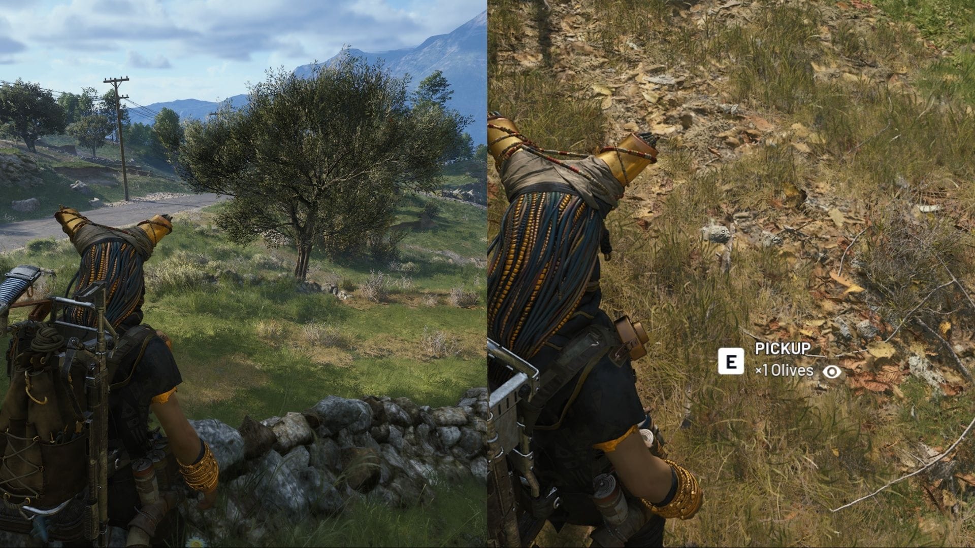 Where to find Olives in ARC Raiders