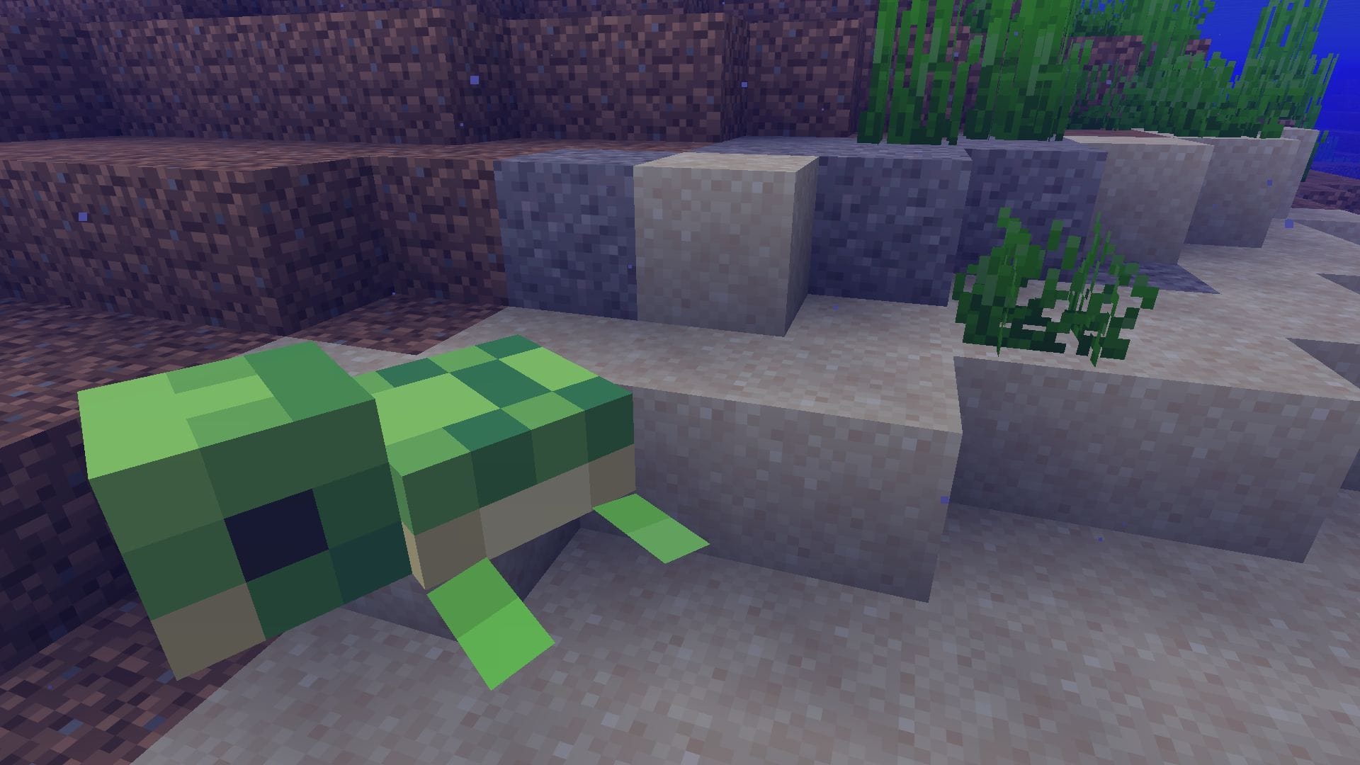 Latest Minecraft snapshot introduces new aquatic baby mobs