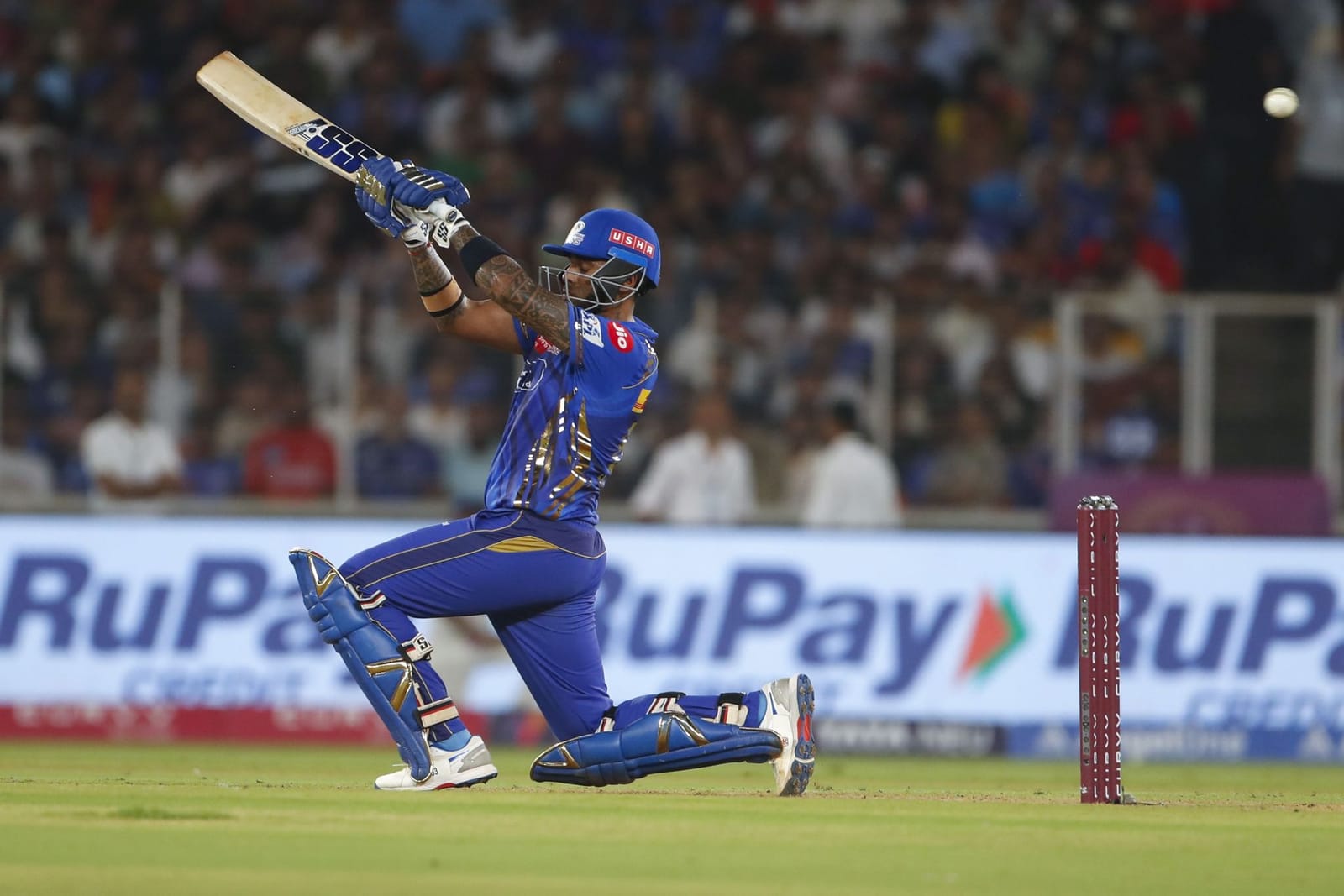 "He is trying to play his lap shot too early" - Former RCB cricketer on ...