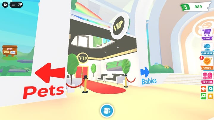 Adopt Me Fresh Fruit Pets update guide