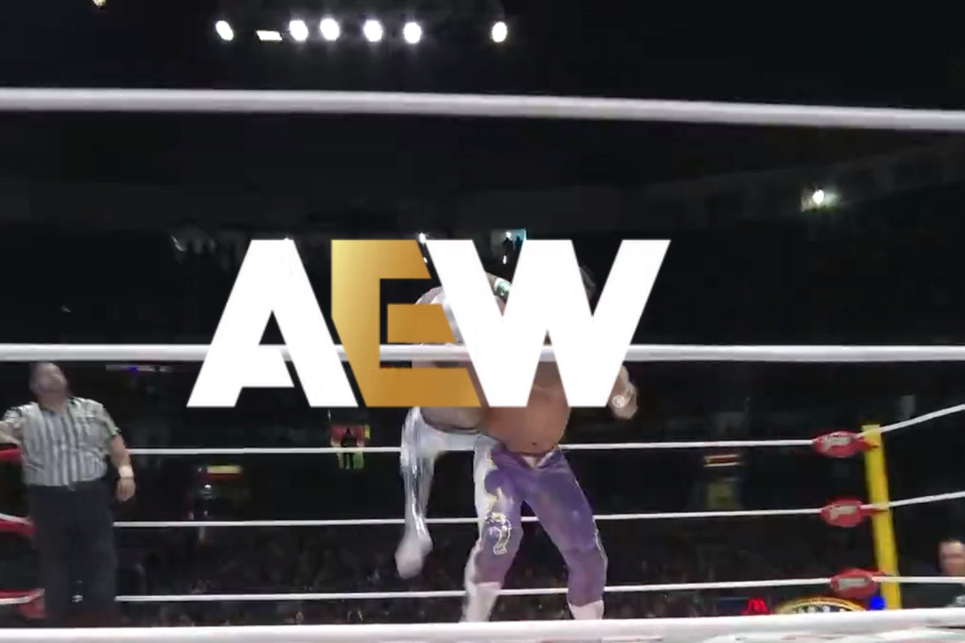BREAKING: Fan Invades Major Show; AEW Star Forced To Intervene - Watch
