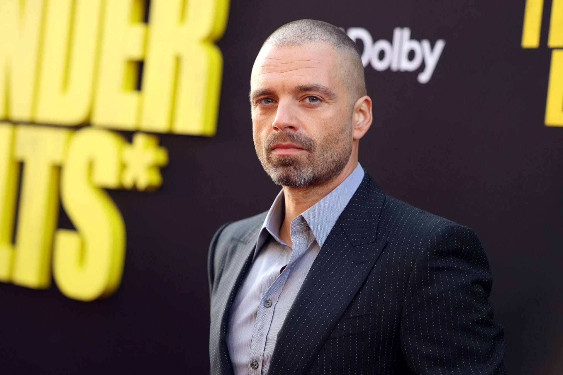 Sebastian Stan: Sebastian Stan confirmed to play an iconic DC villain ...