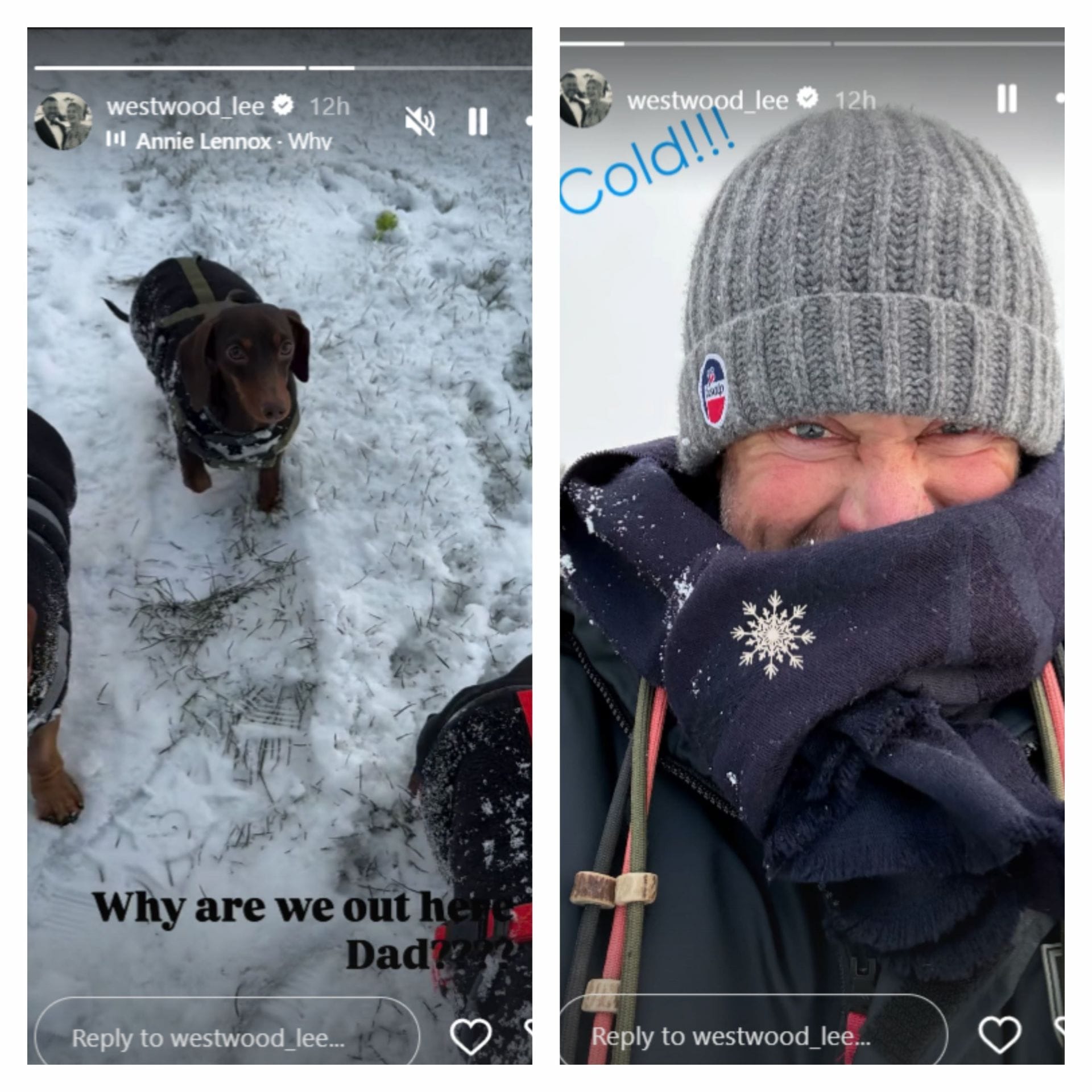 Lee Westwood enjoys snowy day out with his furry friends
