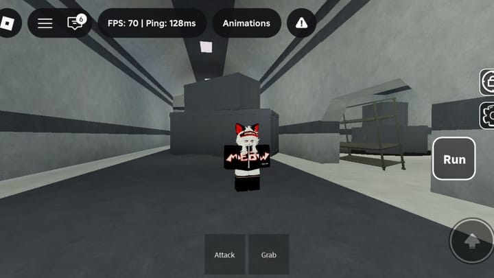 Fur Infection Outbreak: A beginner’s guide