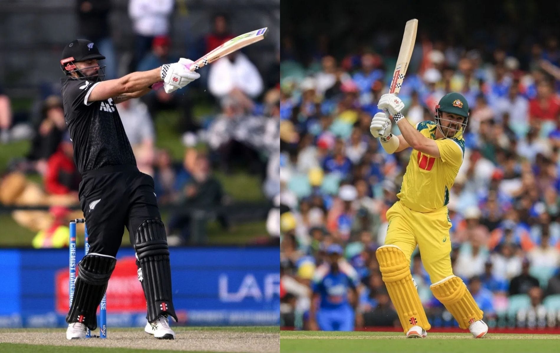 Daryl Mitchell vs Travis Head - Comparing their ODI stats against Team ...