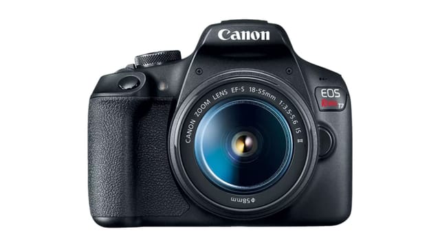 5 best DSLR cameras for beginner photography in 2026