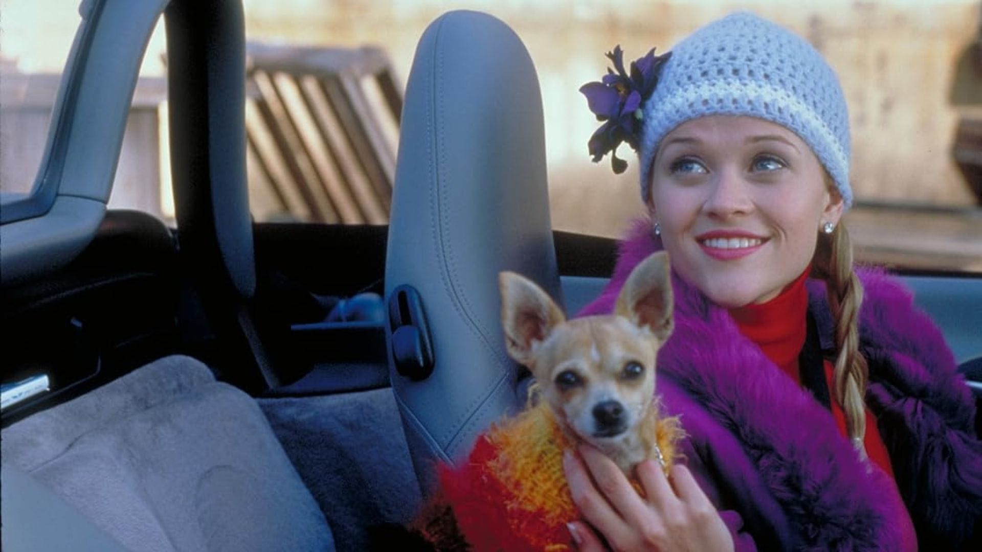 Elle: Legally Blonde prequel series Elle reveals July 2026 premiere via ...