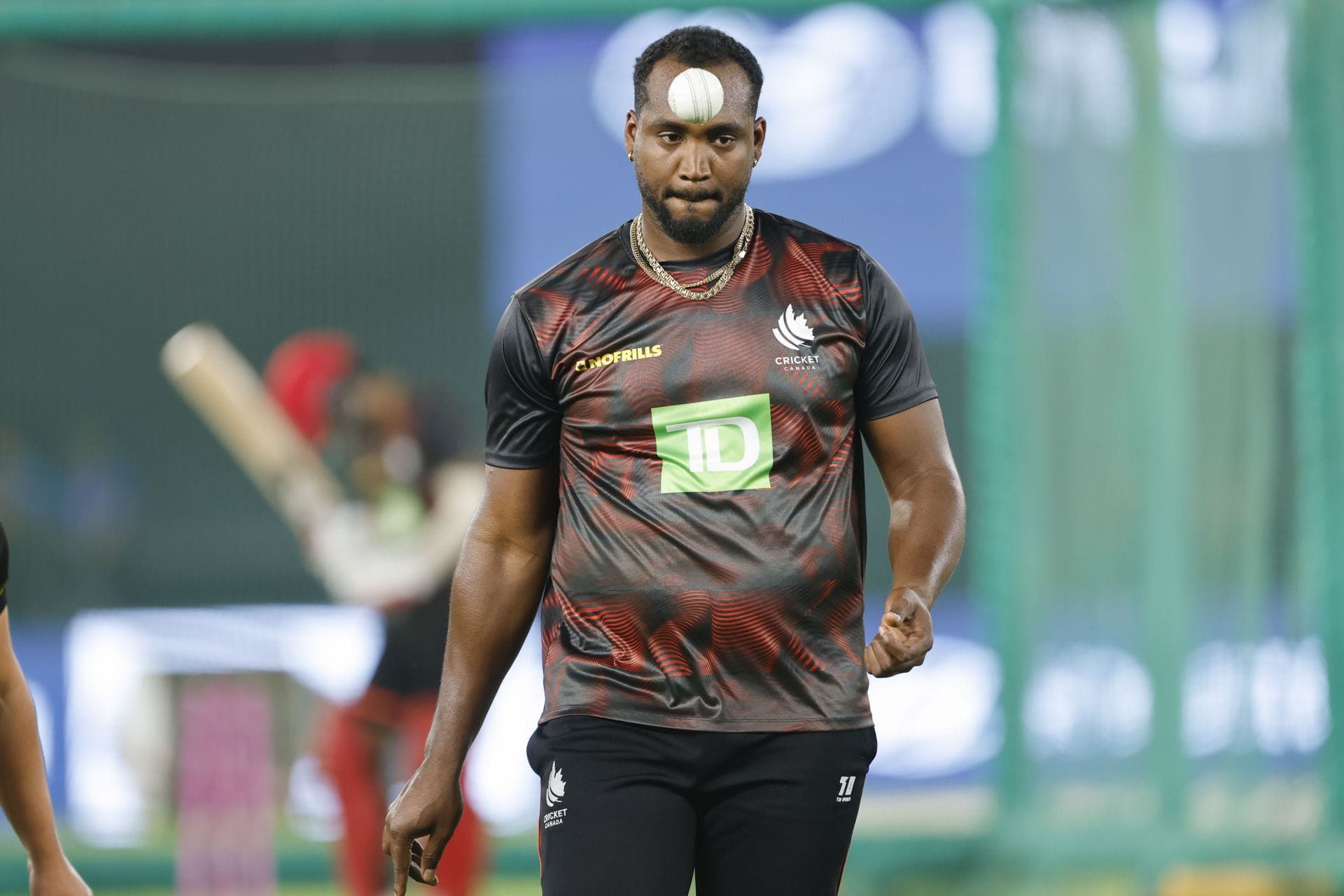 Dilon Heyliger takes a stunning leaping catch by the ropes to dismiss ...